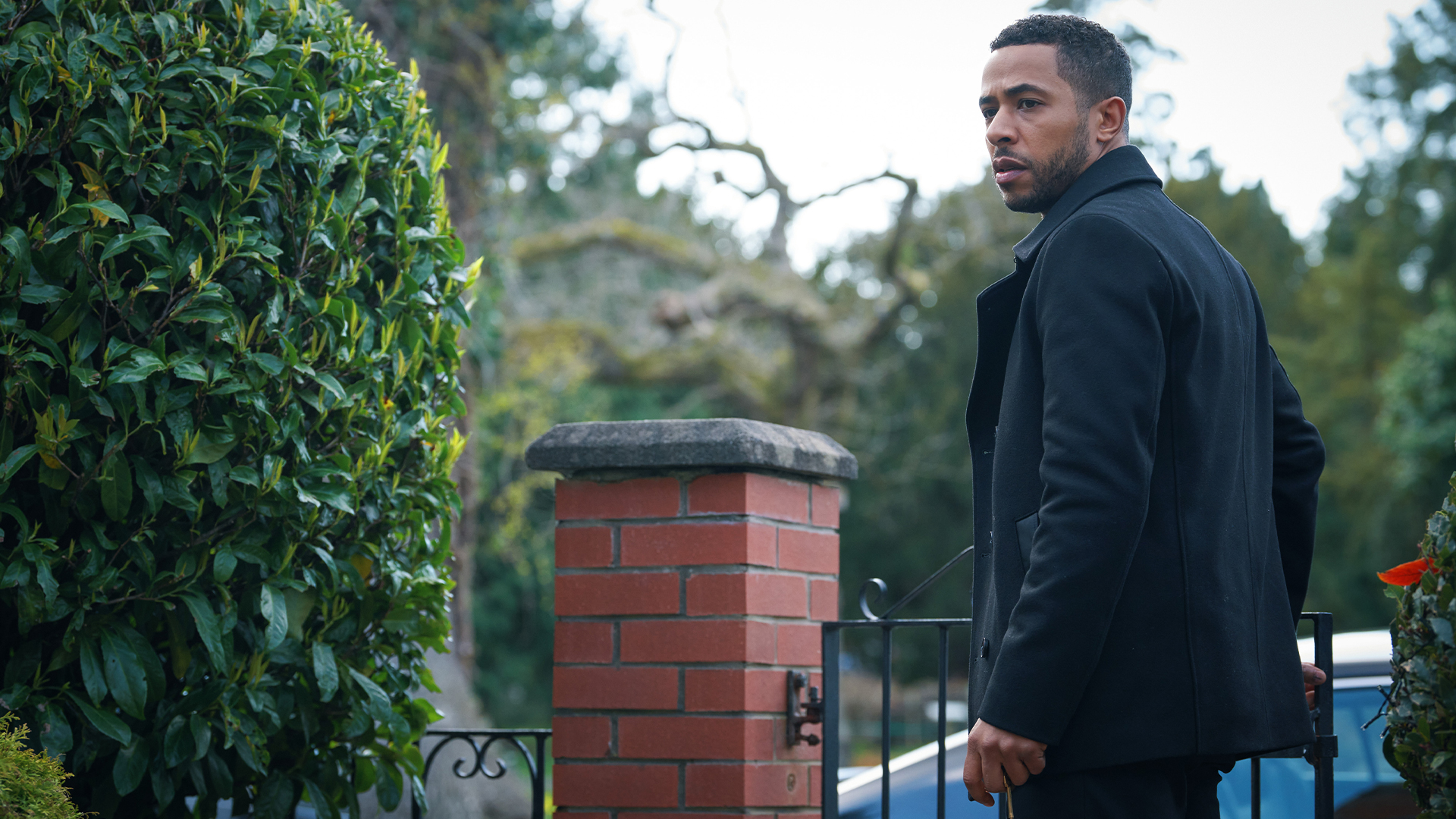 Watch Wolf Online | Stream New Full Episodes | AMC+