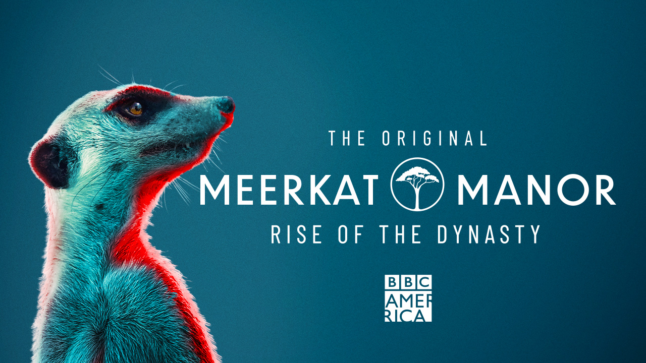 Browse TV Shows | Stream On Demand | BBC America