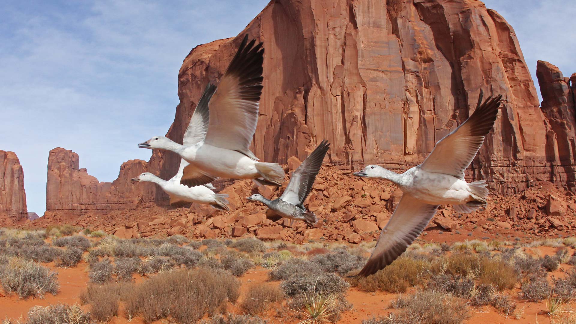 Browse TV Shows | Stream On Demand | BBC America