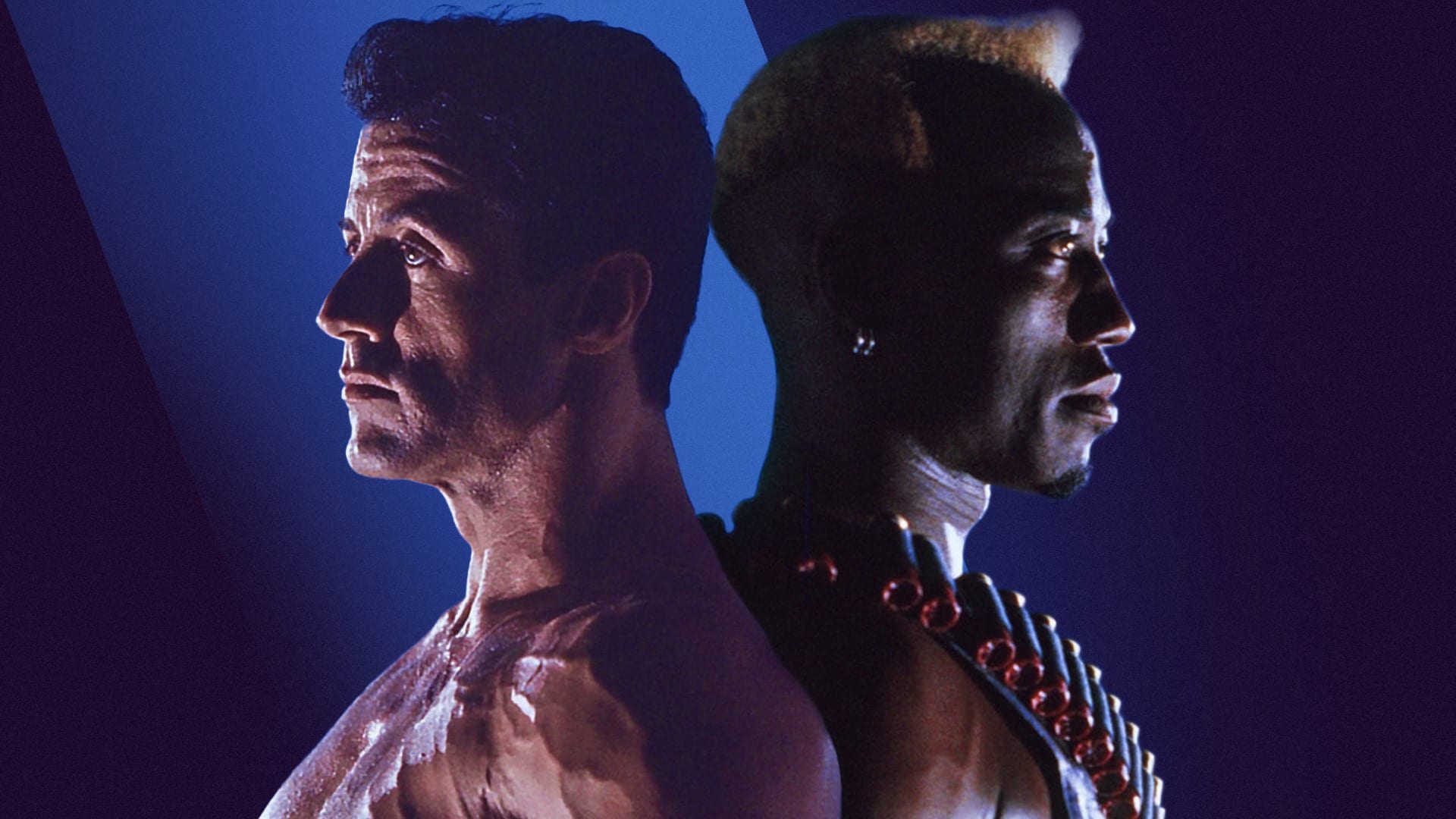 Watch Movies Online | Stream On Demand | IFC